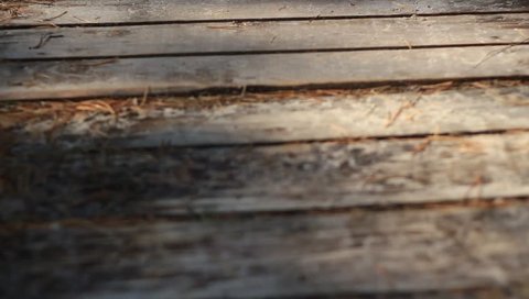 Layered Asphalt Road Side Texture Soil Stock Photo 1714244203 ...