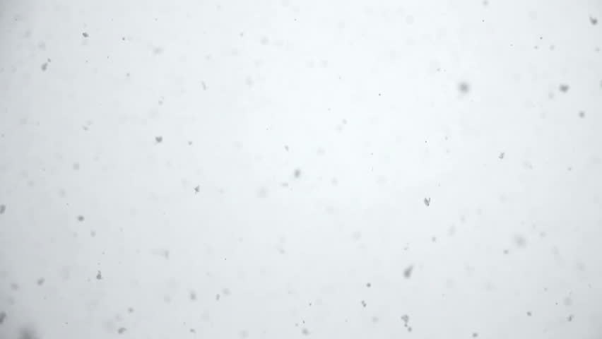 snow falling on white background heavy Stock Footage Video (100% ...