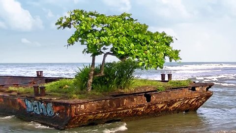 Rusty Remnants Old Dock Filmed Puerto Stock Footage Video (100% Royalty ...