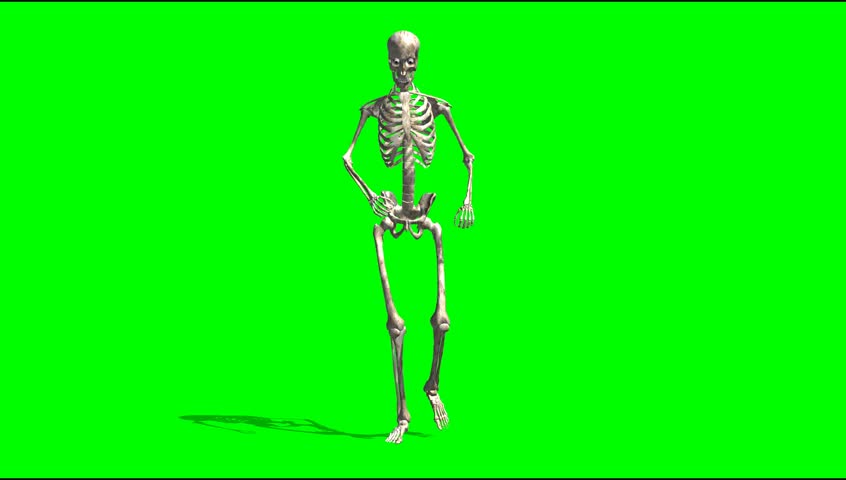 skeletal rage walk animation green screen: Stockvideos & Filmmaterial ...