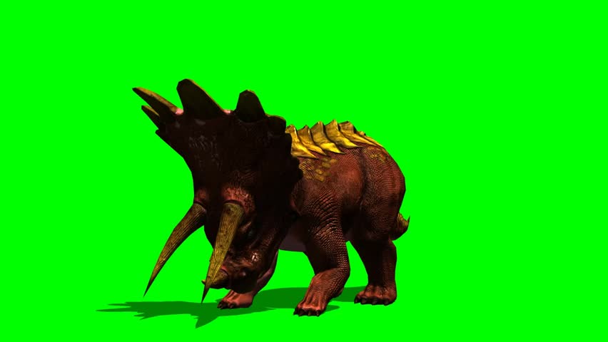 dinosaurs triceratops running animation green screen Stock Footage ...