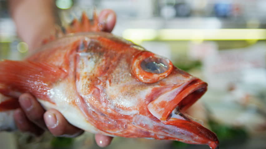 Fresh Pacific Local Red Rock Stock Footage Video (100% Royalty-free ...