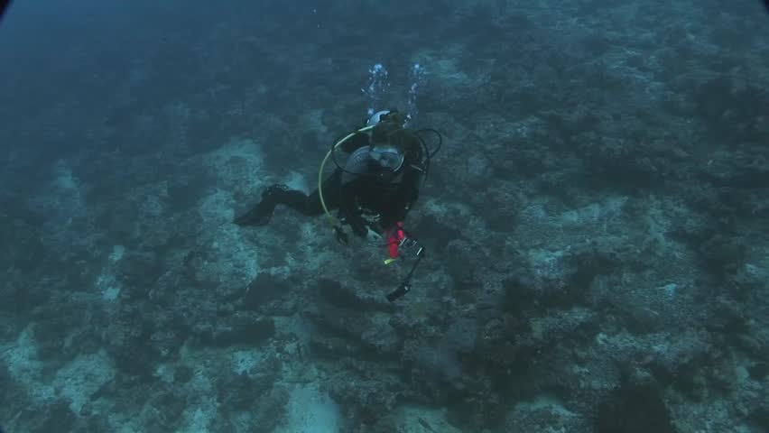 Diving Girl Pointing Underwater Clear Stock Footage Video (100% Royalty ...