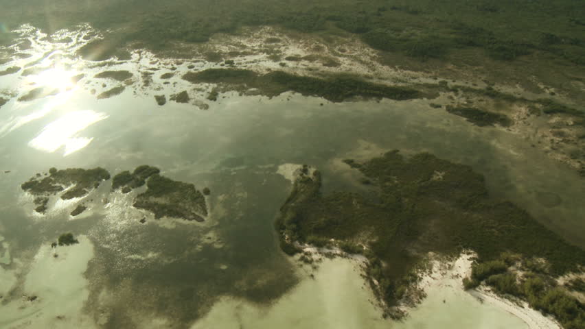 aerial over swamp bahamas Stock Footage Video (100% Royalty-free ...
