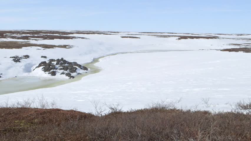 semi-frozen stream arctic tundra Stock Footage Video (100% Royalty-free ...