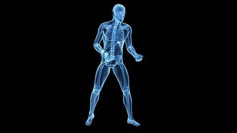 transparent male female body medical animation Stock Footage Video (100 ...