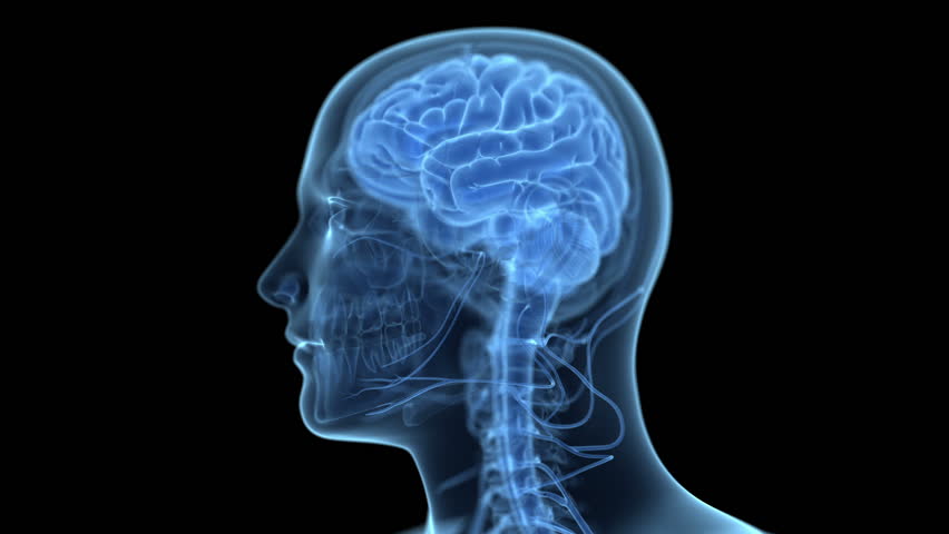 animation showing human nerves brain Stock Footage Video (100% Royalty ...
