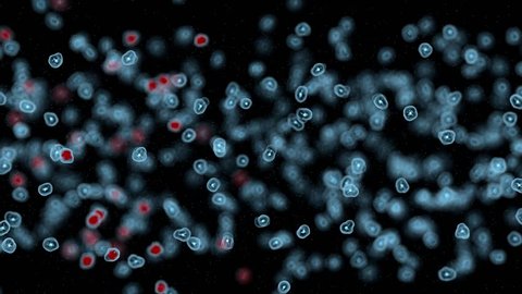 4k High Definition Microbiology Cells Bacteria Stock Footage Video (100 ...
