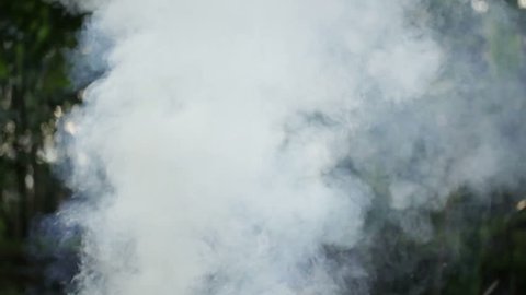 Smoke Floating On Fire Stock Footage Video (100% Royalty-free) 5392721 ...