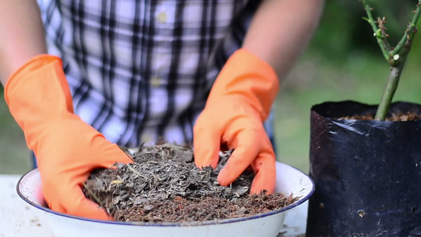 Man is Mixing Coconut Husk Stock Footage Video (100% Royalty-free ...