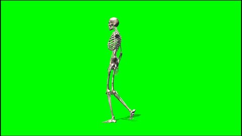 Skeleton Walk Animation Gi Render Green: video de stock (totalmente ...