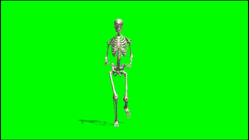 Skeleton Run - Seperated On Stock Footage Video (100% Royalty-free ...