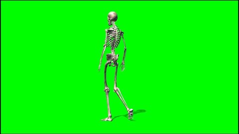 Skeleton Walk Animation Gi Render Green: video de stock (totalmente ...
