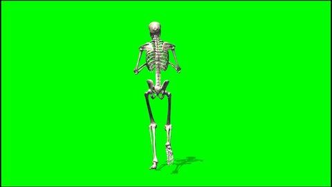 3d Animation Skeleton Kneel German Salute Stock Footage Video (100% ...
