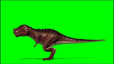 Tyrannosaurus Rex Anatomically Correct Trex Dinosaur Stock Illustration ...