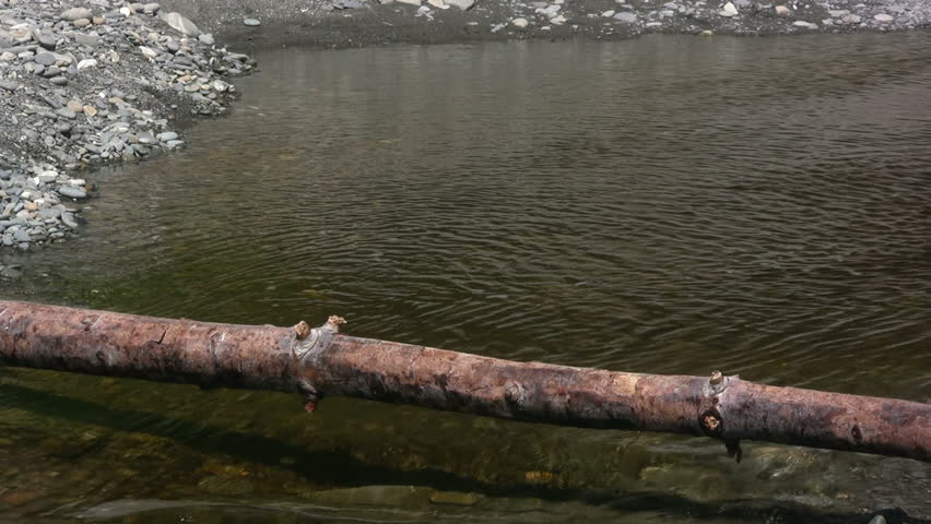 man balancing across log over river Stock Footage Video (100% Royalty ...