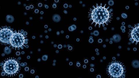 4k Alpha High Definition Microbiology Viruses Stock Footage Video (100% ...