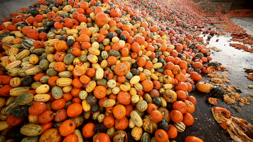 Video Footage of a Food Stock Footage Video (100% Royalty-free) 5510525 ...