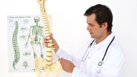 Female Chiropractor Spine Bone Model Explaining Stock Photo 1741384865 ...