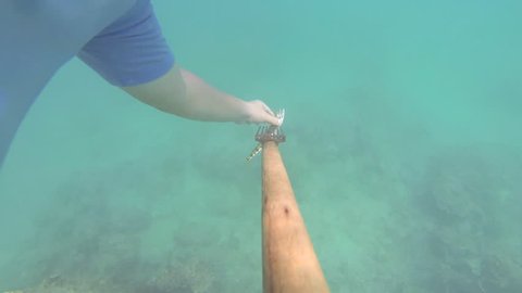 Thai Moken Hunting Underwate Stock Footage Video (100% Royalty-free ...