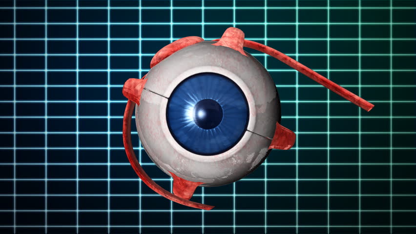 Human Eye Rotating Ekg Background,alpha Stock Footage Video (100% ...