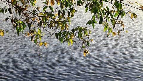 Surface Water Above Lake Stock Footage Video (100% Royalty-free ...