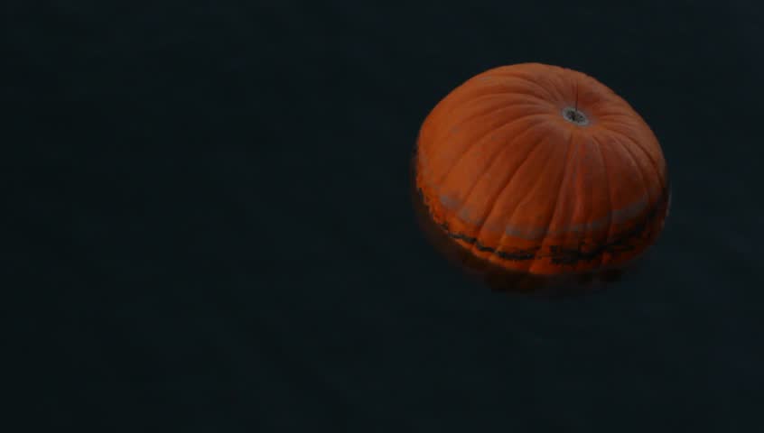 Floating Pumpkin in Water. Stock Footage Video (100% Royalty-free ...