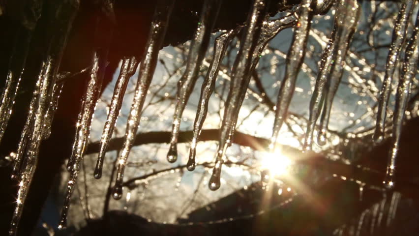 ice storm icing on tree icicle Stock Footage Video (100% Royalty-free ...