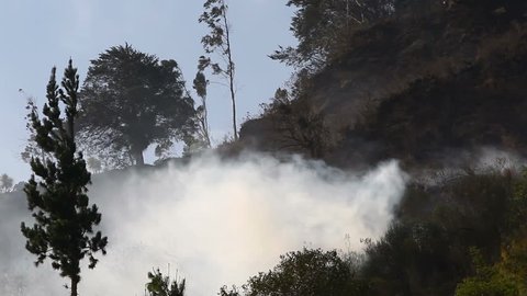 Bushfire Spreading Out High Winds Stock Footage Video (100% Royalty ...