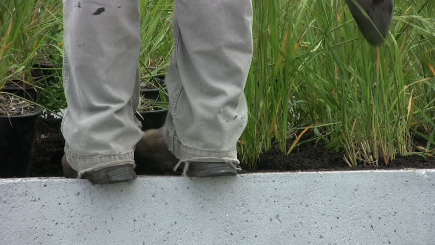 worker planting plants sidewalk planter downtown Stock Footage Video ...