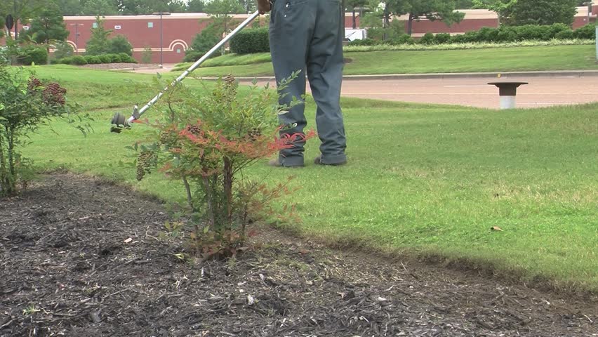 man using weed wacker Stock Footage Video (100% Royalty-free) 5650097 ...