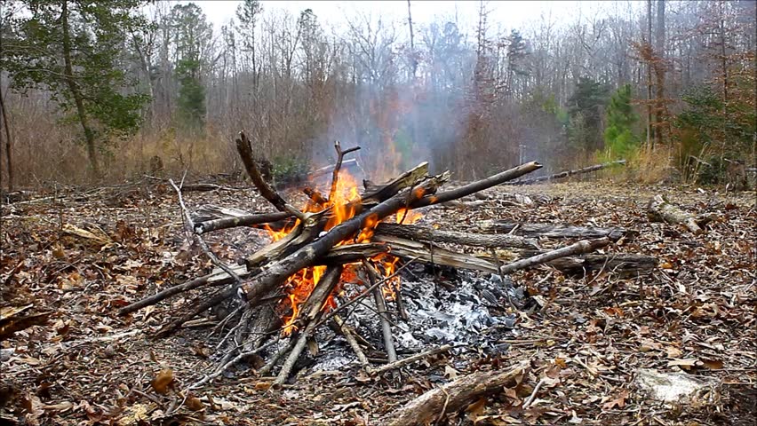 small hot bonfire burning outside woods Stock Footage Video (100% ...