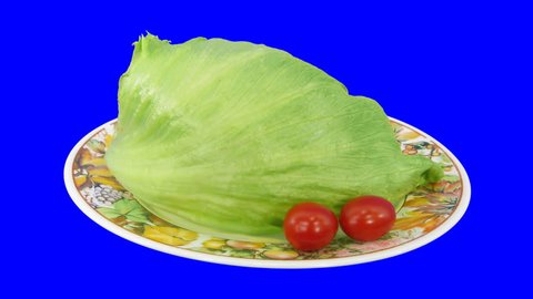 Timelapse Wilting Salad 1 Blue Chroma Stock Footage Video (100% Royalty ...