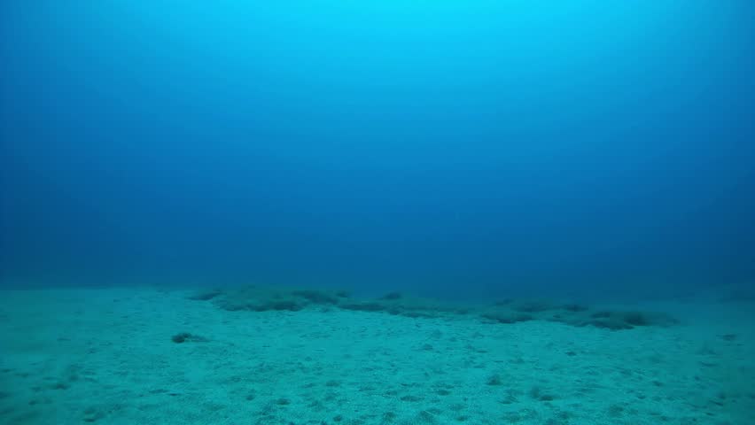 ocean bottom Stock Footage Video (100% Royalty-free) 5694179 | Shutterstock