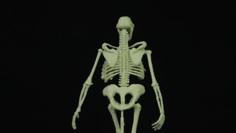 Skeleton Rotates On Black Background Loop Stock Footage Video (100% ...