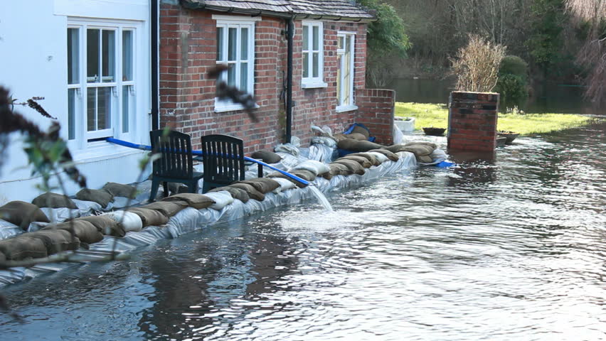 Unparalleled Stock Video Footage - 4K and HD Video Clips | Shutterstock