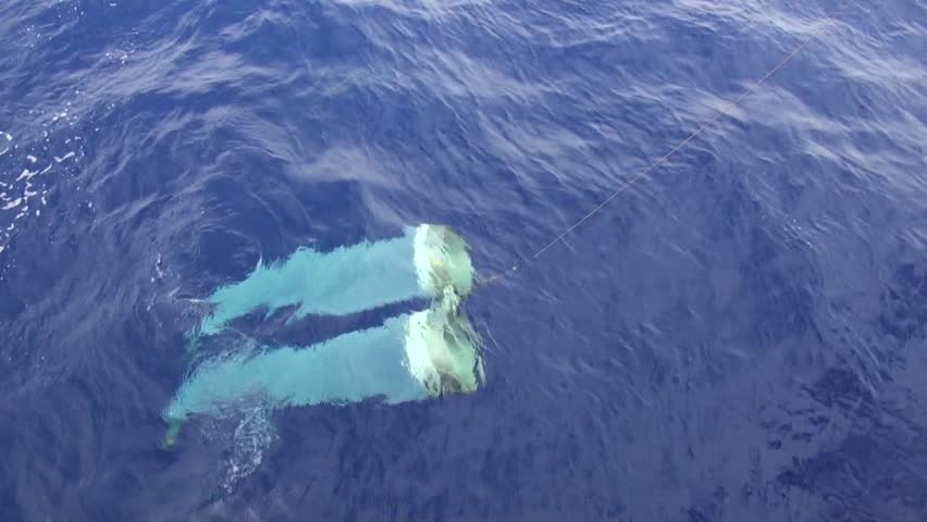 BONGO-PAIRED-PLANKTON-NET-SYSTEM Footage, Videos and Clips in HD and 4K ...