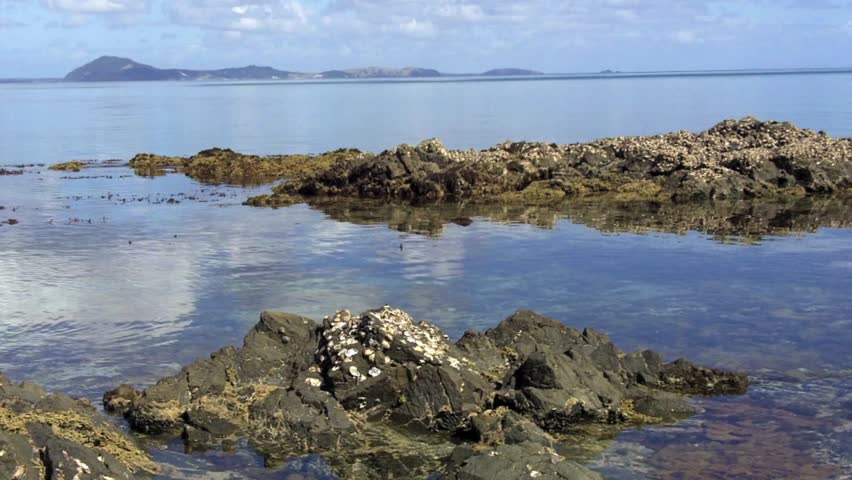 Landscape View of Rangiputa Beach Stock Footage Video (100% Royalty ...
