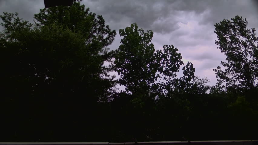 Strong Winds Blow the Trees Stock Footage Video (100% Royalty-free ...