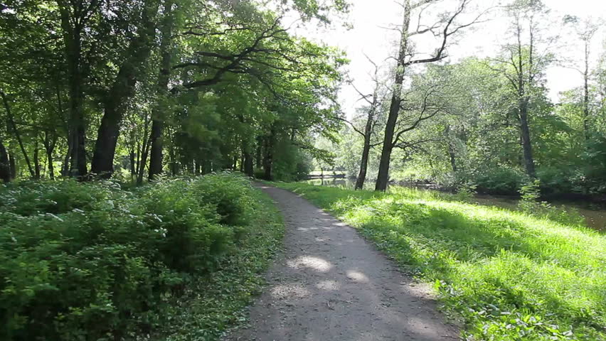 Forest Path, Steady Smooth Motion Stock Footage Video (100% Royalty ...