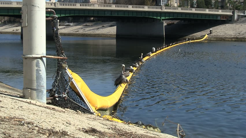 debris boom floating on river Stock Footage Video (100% Royalty-free ...