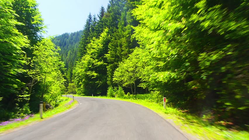 drift through peaceful morning bliss on Stock Footage Video (100% ...