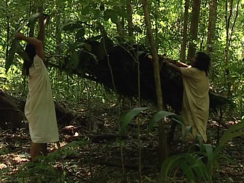 Survival Techniques Hunting Gathering Maya Doing Stock Footage Video ...