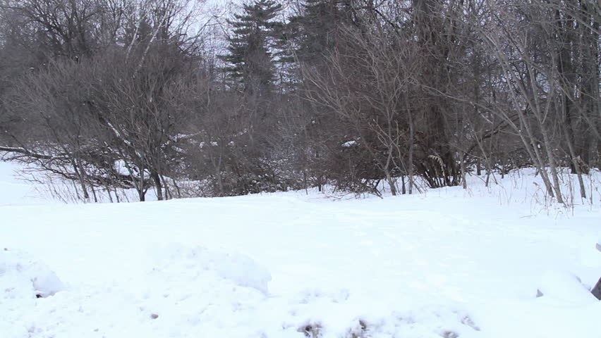 Snow Covered Ground in the Stock Footage Video (100% Royalty-free ...