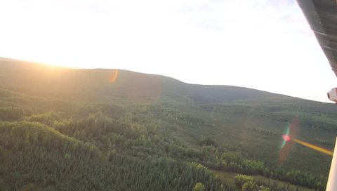 Alaska Trees Hills Expansive Greenery Featuring Stock Footage Video ...