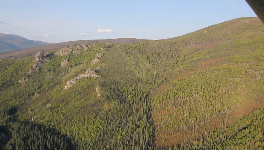Alaska Hills Trees Greenery. Expansive Stock Footage Video (100% ...