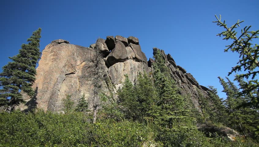 alaska forrest tree rocks cliff large Stock Footage Video (100% Royalty ...