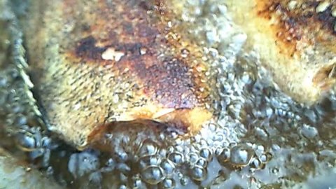 Fresh Fish Frying Hot Oil Stock Footage Video (100% Royalty-free ...