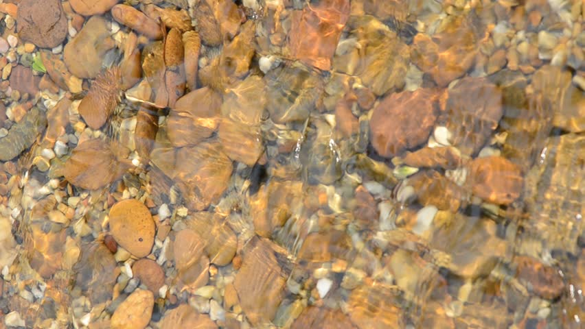 quick clean water flow river shallow Stock Footage Video (100% Royalty ...