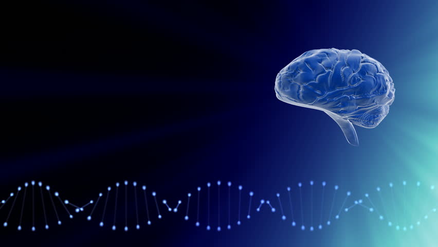 Rotating Brain and Dna String Stock Footage Video (100% Royalty-free ...